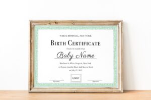 Fake Birth Certificates ─ The Serious Legal Consequences Beyond Novelty ...